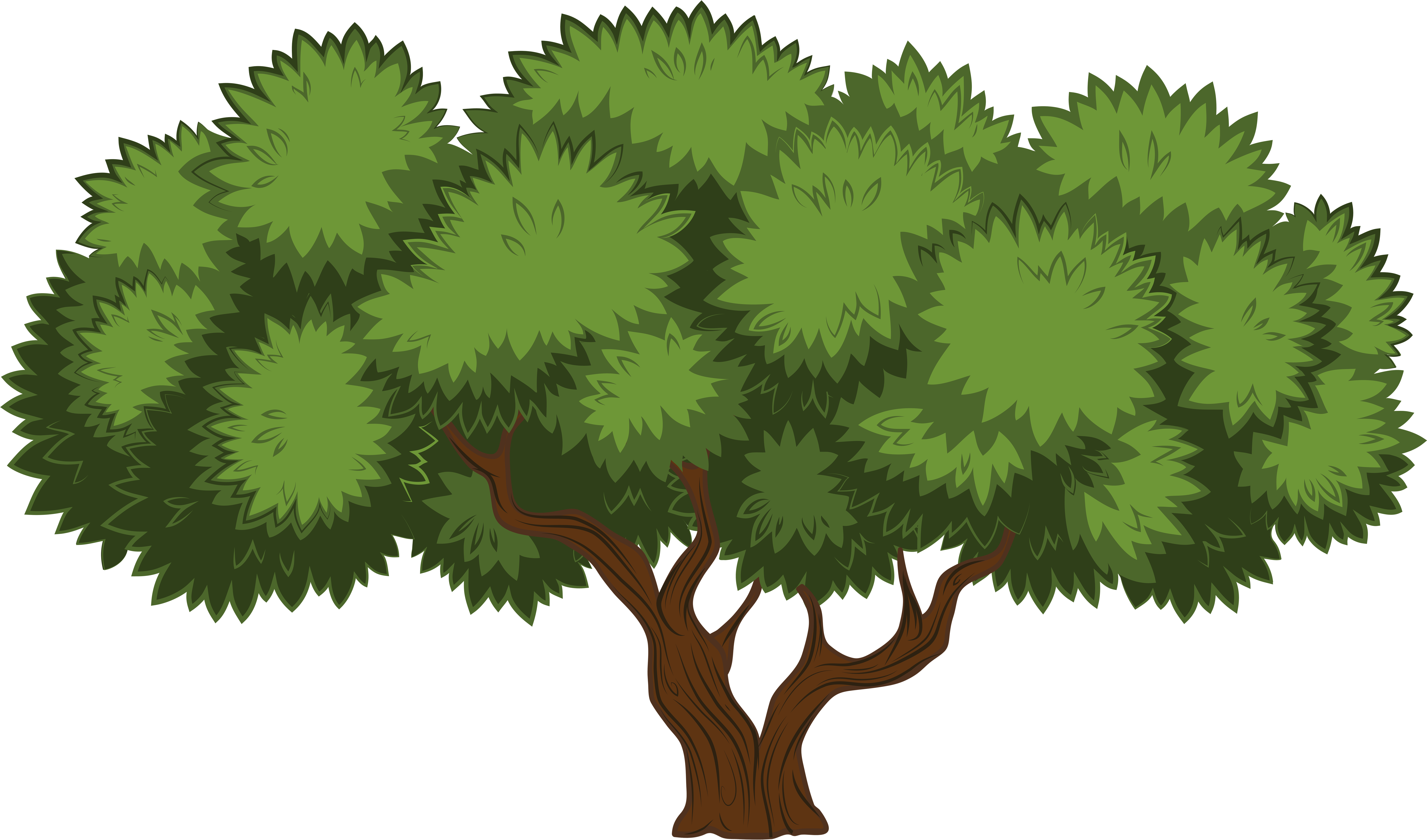 Download Www Clipart Tree - Tree Png Clip Art Transparent Png (#1072 ...