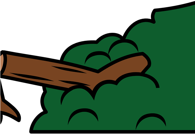 Stump Clipart Fallen Log - Broken Tree Clip Art - Png Download - Full ...