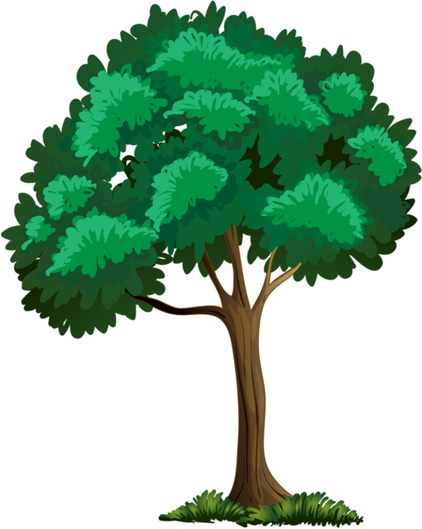 Download Trees ‿ ⁀°•• Tree - Trees And Flowers Clipart - Png Download ...