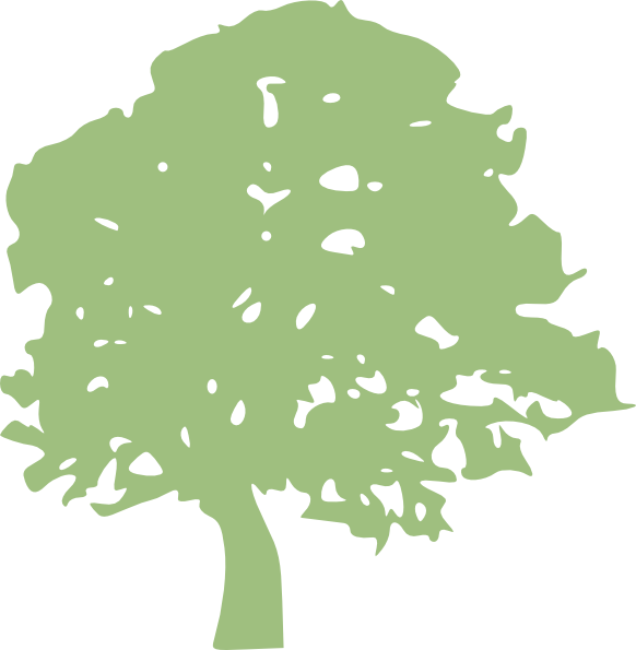 This Free Clip Arts Design Of Oak Tree - Tree Png Clip Art Transparent ...