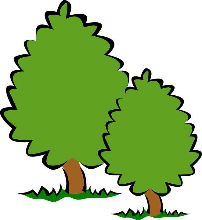 Trees Tree Clip Art Background Free Clipart Images - Trees Clipart ...