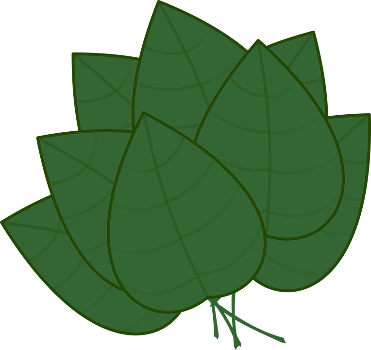 Leaves Bunch Green - Leaves Clip Art - Png Download - Full Size Clipart ...