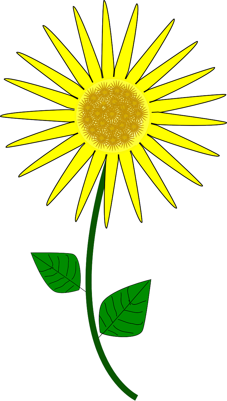 Download Sunflower Clip Art Free Clipart To Use Resource - Animated ...