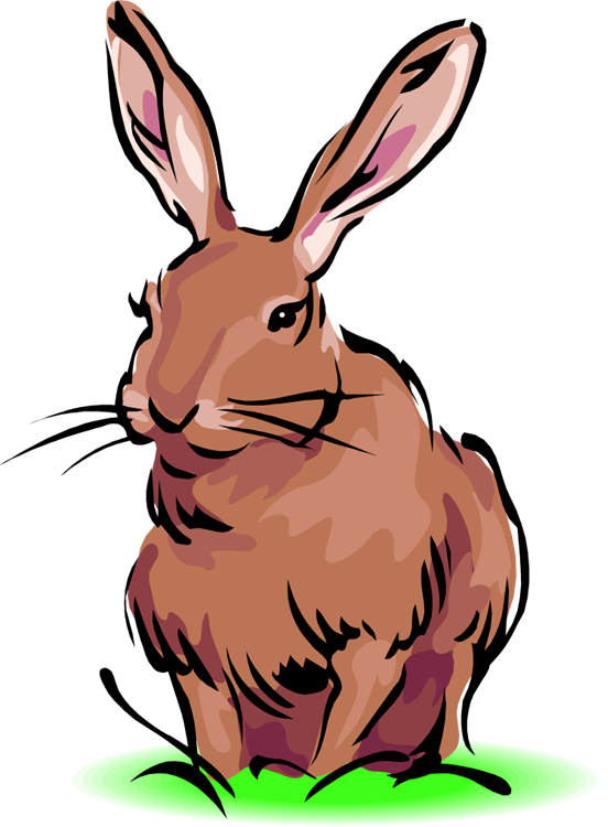 Free Rabbit Clipart - Black Tailed Jackrabbit Animated - Png Download ...