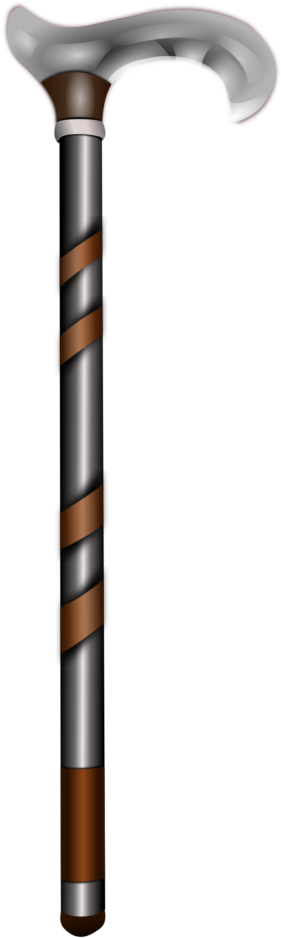 Cabbage Drawing Scientific - Tongkat Vector Clipart - Full Size Clipart ...