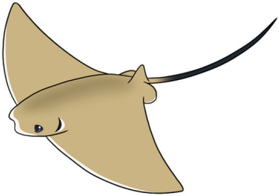 Cownose Ray Clipart - Png Download - Full Size Clipart (#1005703 ...