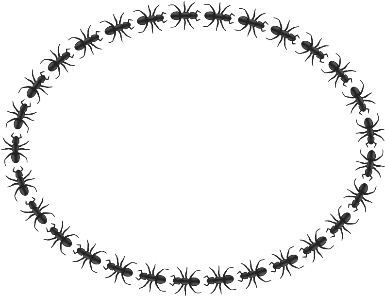 Border Bulat Cantik Clipart - Full Size Clipart (#1024740) - PinClipart