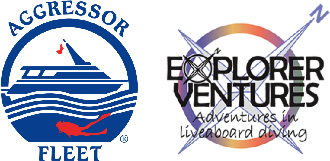 Agressor Fleet And Explorer Ventures - Aggressor Fleet Clipart - Full ...