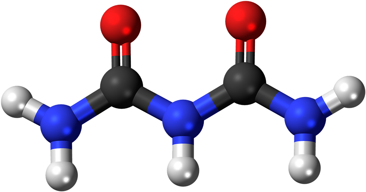 Biuret Molecule Model - Inorganic Chemistry: Techniques And Mechanisms ...