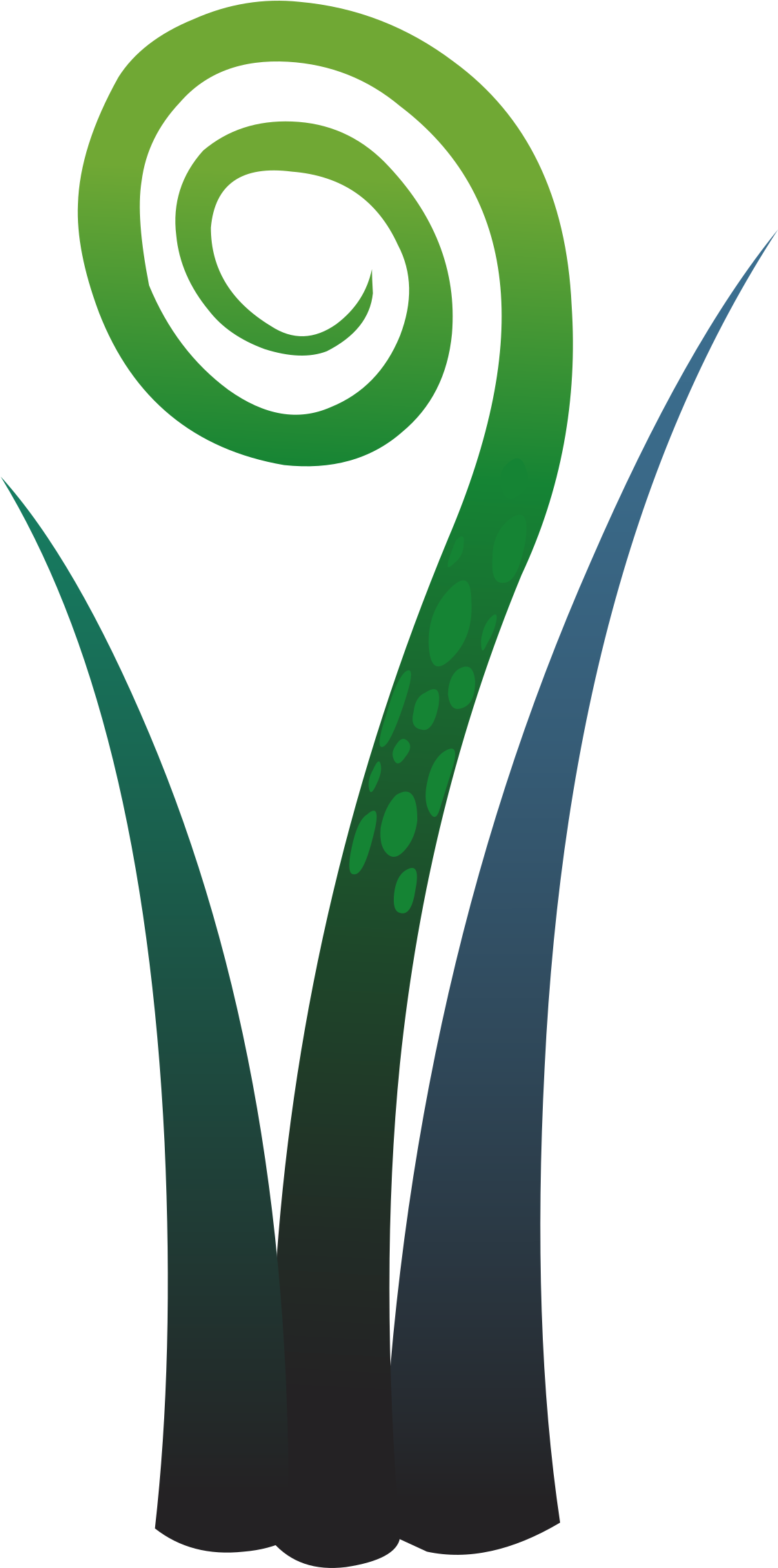 Big Image - Pakis Vector Clipart - Full Size Clipart (#1052231 ...