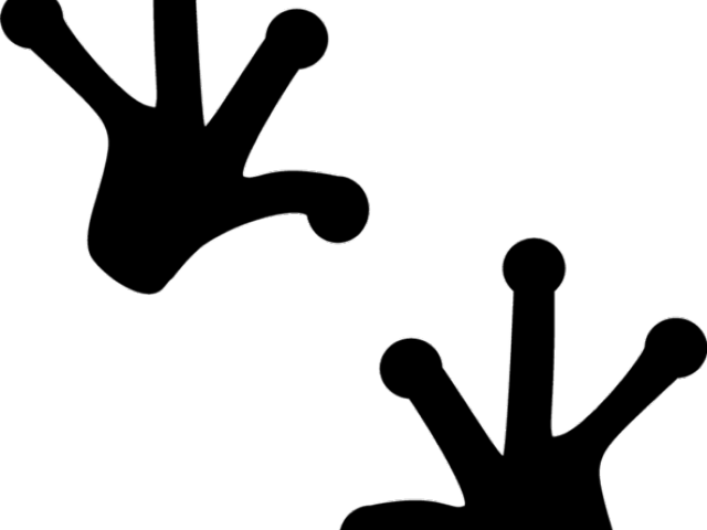 Footprint Clipart Frog - Huellas De Rana - Png Download - Full Size ...
