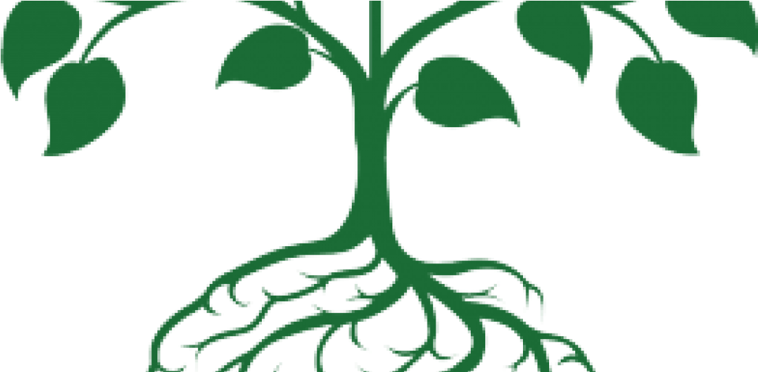 Download Stanford Neurosciences Institute, Big Ideas In Neuroscience ...