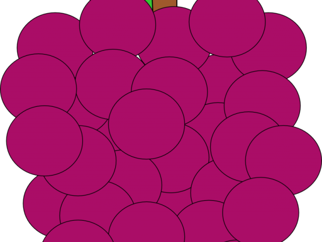 Raspberry Clipart Vine - Circle - Png Download - Full Size Clipart ...