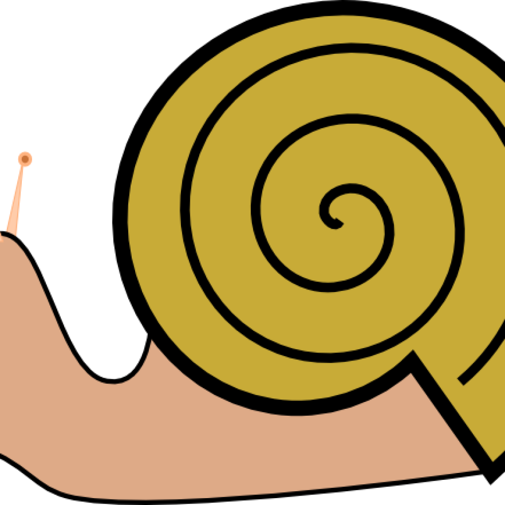 Download Snail Clipart Pond Snail - Cartoon Snail Shell - Png Download ...