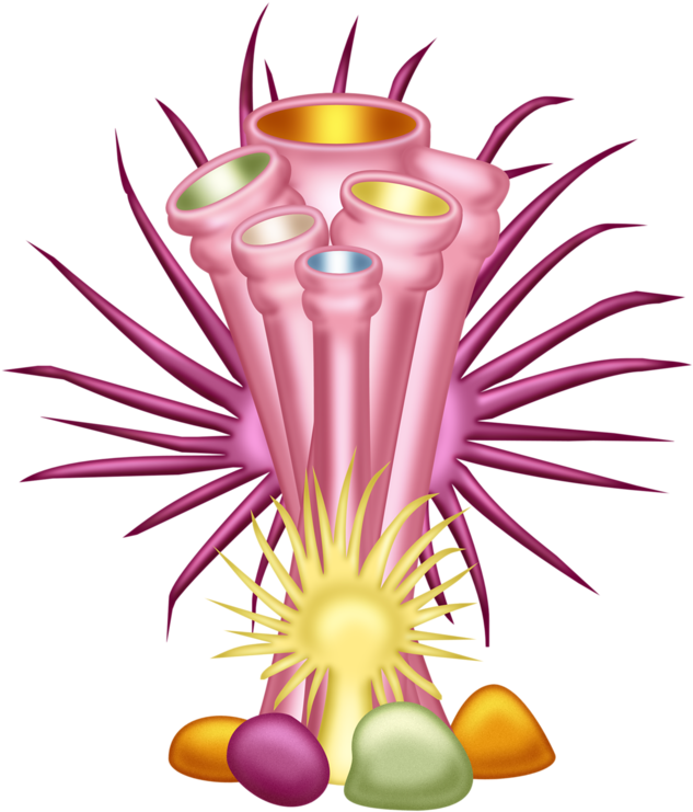 Anamone Cartoon Png Clipart - Full Size Clipart (#1099552) - PinClipart