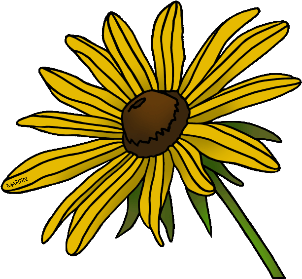 State Flower Of Maryland - Black Eyed Susan Clip Art - Png Download ...
