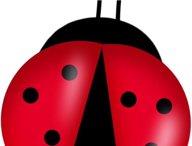 Ladybug Clipart Printable - Cartoon Ladybugs - Png Download - Full Size ...