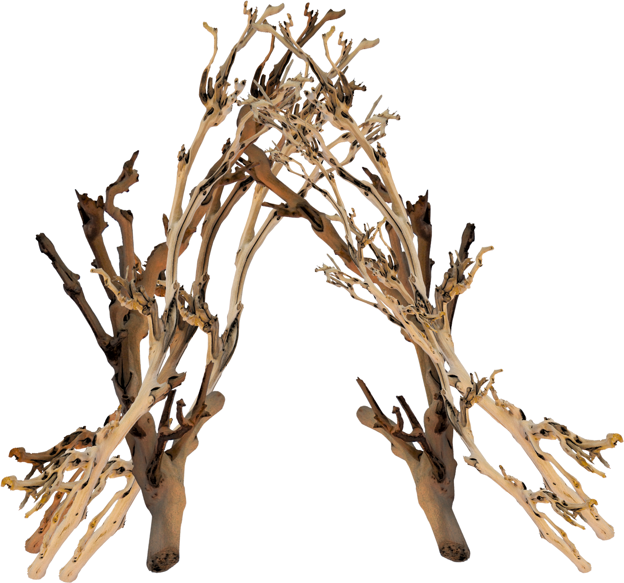 Our Den - Twig Clipart - Full Size Clipart (#1128834) - PinClipart