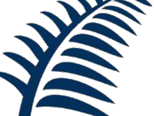 Download Silver Fern Clipart (#1135688) - PinClipart