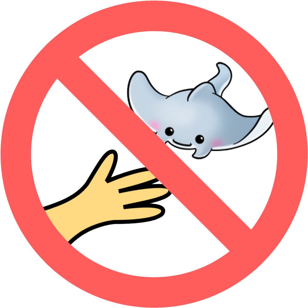 No Touching Or Chasing Marine Life - Do Not Walk In Shoes Sign Icon ...
