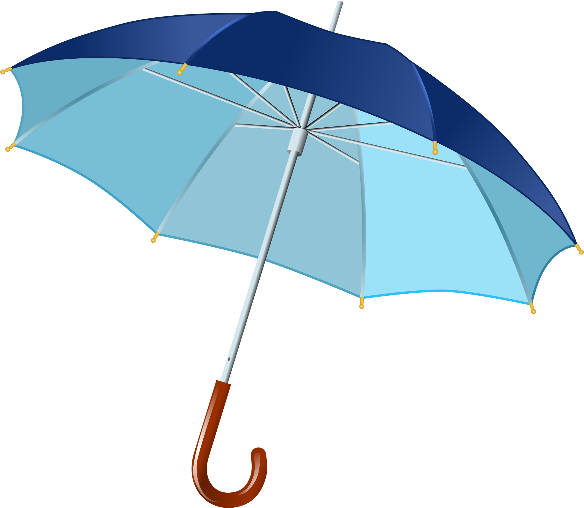 Download Pictures Of Umbrellas 10, Buy Clip Art - Fancy Umbrella - Png ...