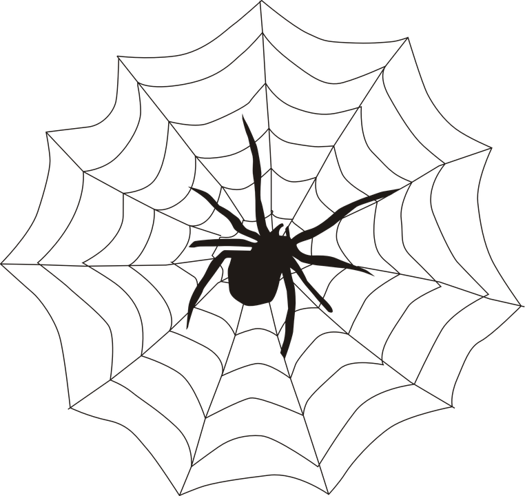Halloween Cobwebs Cliparts 8, Buy Clip Art - Spider On A Web - Png ...