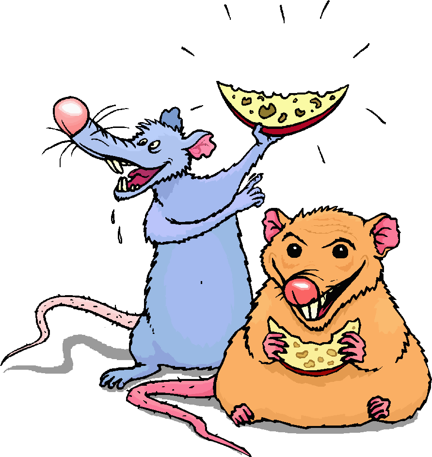 2 Rat Cartoon Clipart Brown Rat Clip Art - Coles And Woolworths Duopoly ...