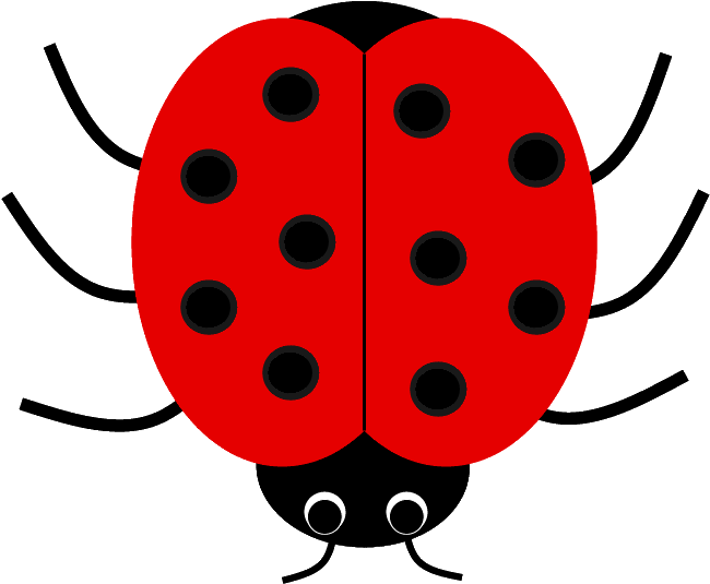 Cute Ladybug Clip Art Free Cliparts - Clip Art Of Ladybug - Png ...