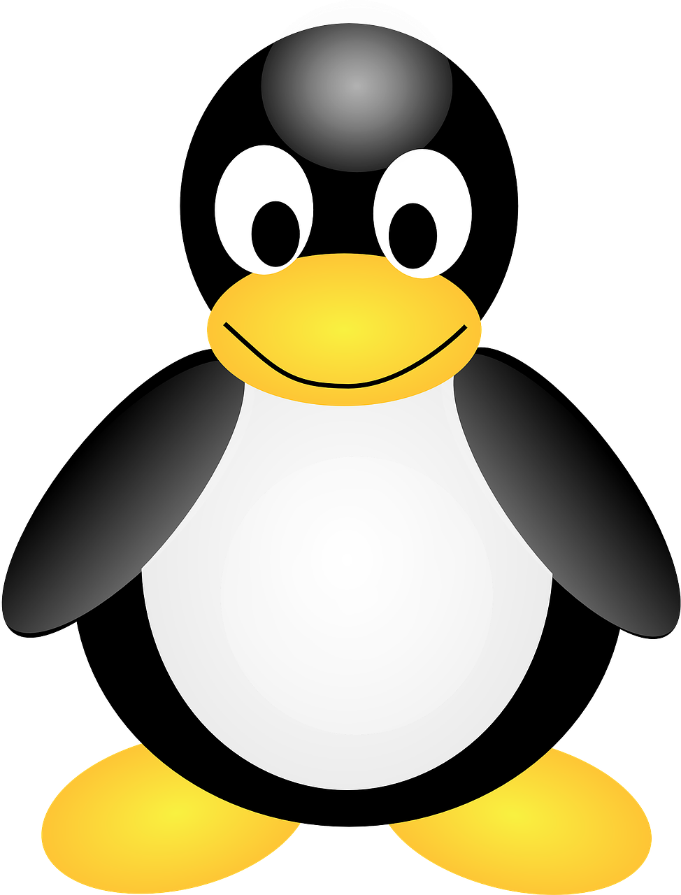 Linux Penguin Tux Mascot Animal Png Image - Tučnák Png Clipart - Full ...
