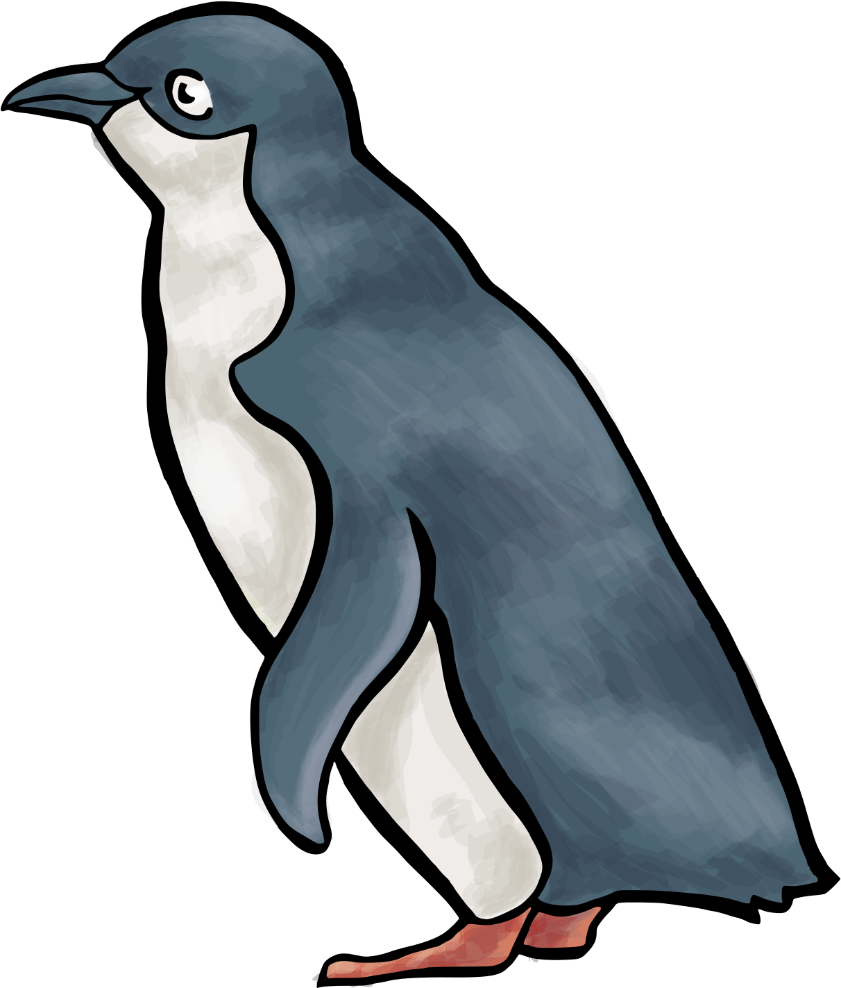 Penguin Clipart Little Penguin - Little Blue Penguin Clipart - Png ...