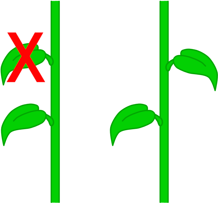 Leaf Arrangements - Gold Clipart - Full Size Clipart (#1298539 ...