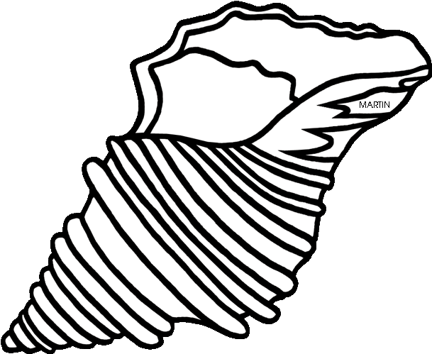 Massachusetts State Shell - Line Art Clipart - Full Size Clipart ...