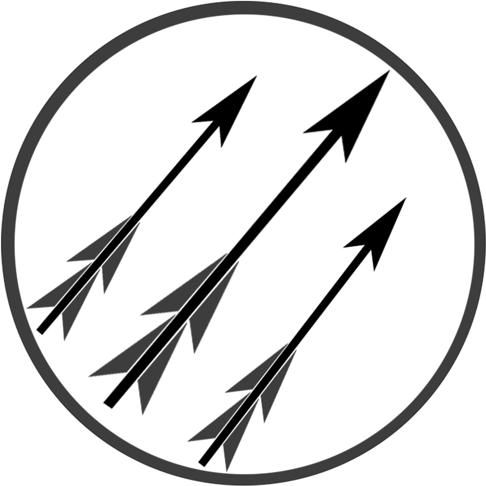 Three Arrows Body Co Clipart - Full Size Clipart (#1325072) - PinClipart