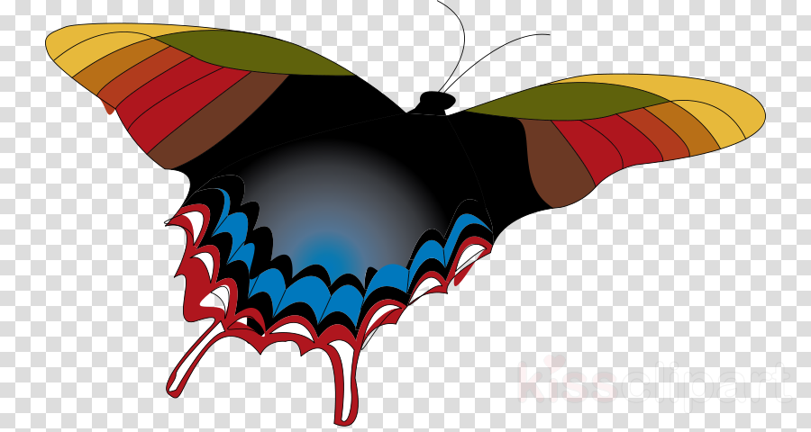 Clip Art Clipart Butterfly Insect Clip Art - Clip Art - Png Download ...