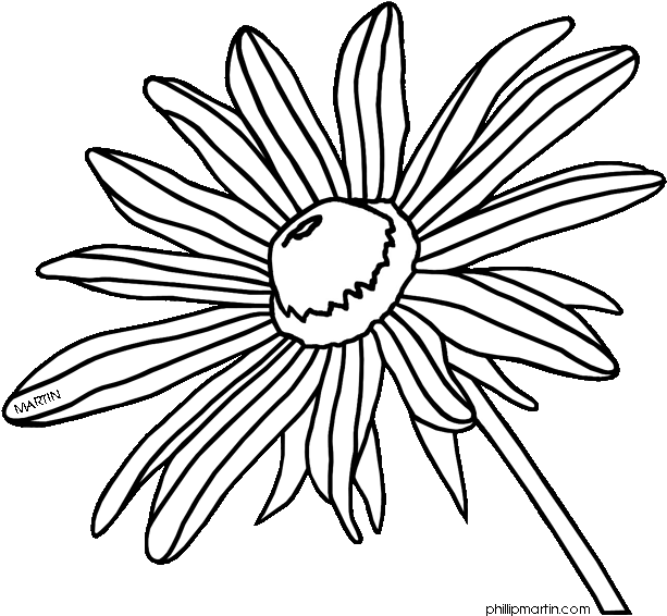 Maryland 20clipart - Black Eyed Susan Black And White Clipart - Png ...