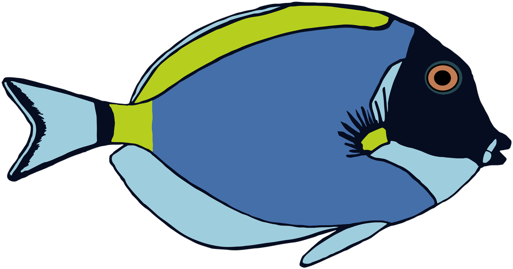 Clipart Fish Colorful - Powder Blue Tang Clip Art - Png Download - Full ...