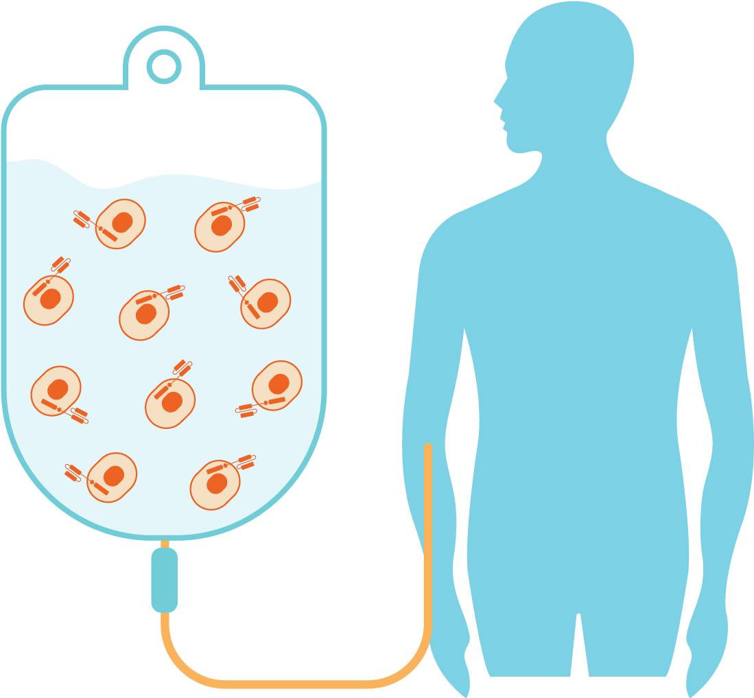 Clinical Cell Therapy Biomarker Discovery And Product - Illustration ...