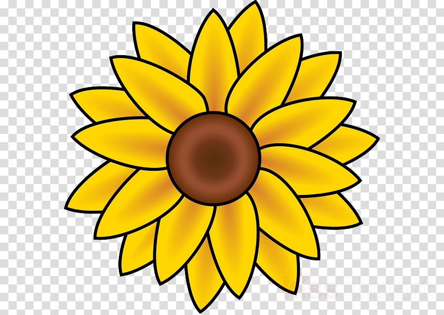 Sunflower August Clipart Drawing Clip Art 20 Off Of 3 Or More Png