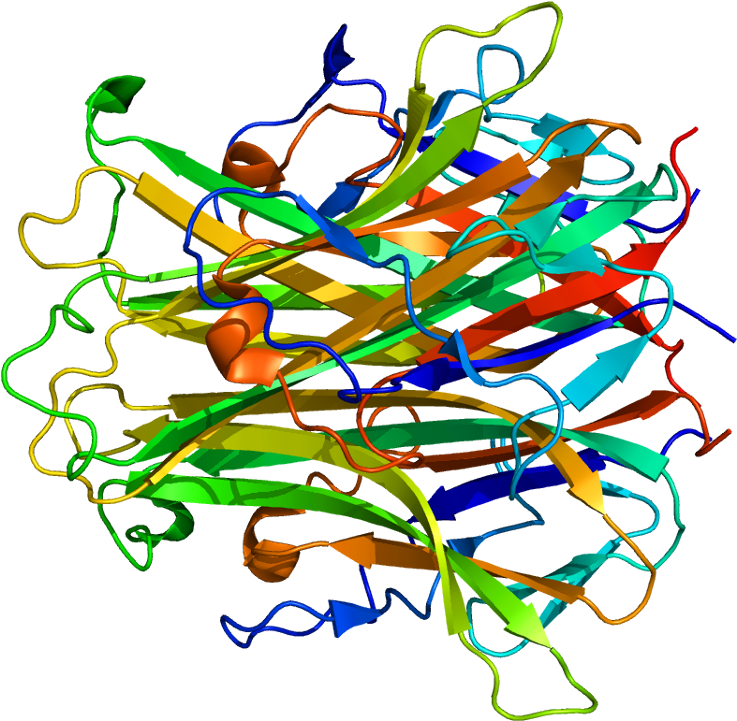 Rankl Clipart - Full Size Clipart (#145978) - PinClipart