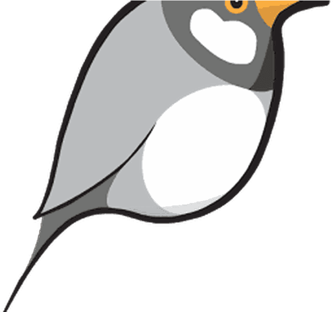 Free & Premium Vpn - Bird Vpn Clipart - Full Size Clipart (#1405909 ...