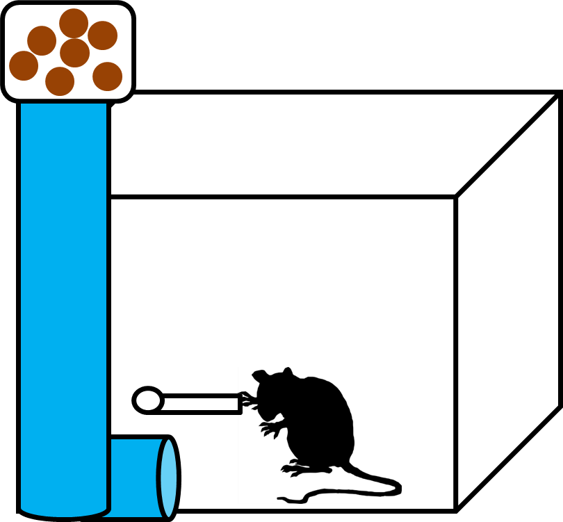 Skinners Box - Skinner Box Transparent Background Clipart - Full Size ...