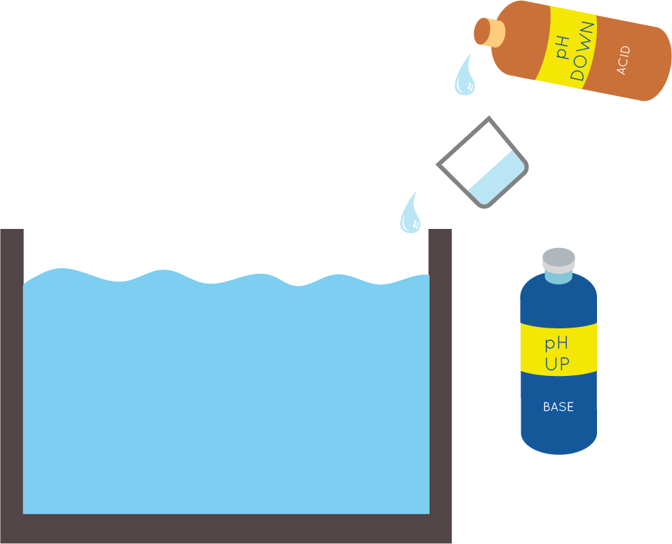 Download Kratky Method Step - Passive Hydroponics Clipart (#1442653 ...