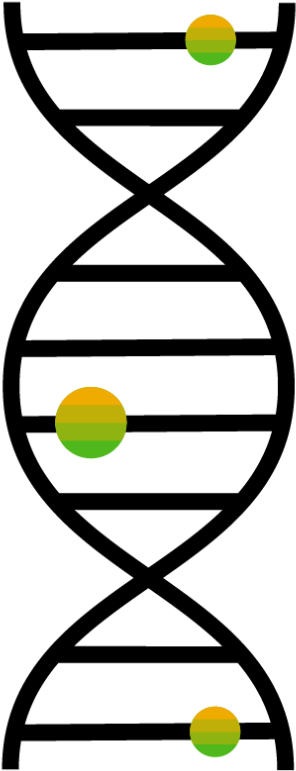 19 Jan - Dna Clipart - Full Size Clipart (#1455971) - PinClipart