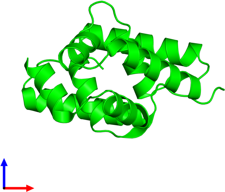 Clip Art - Png Download - Full Size Clipart (#1456831) - PinClipart