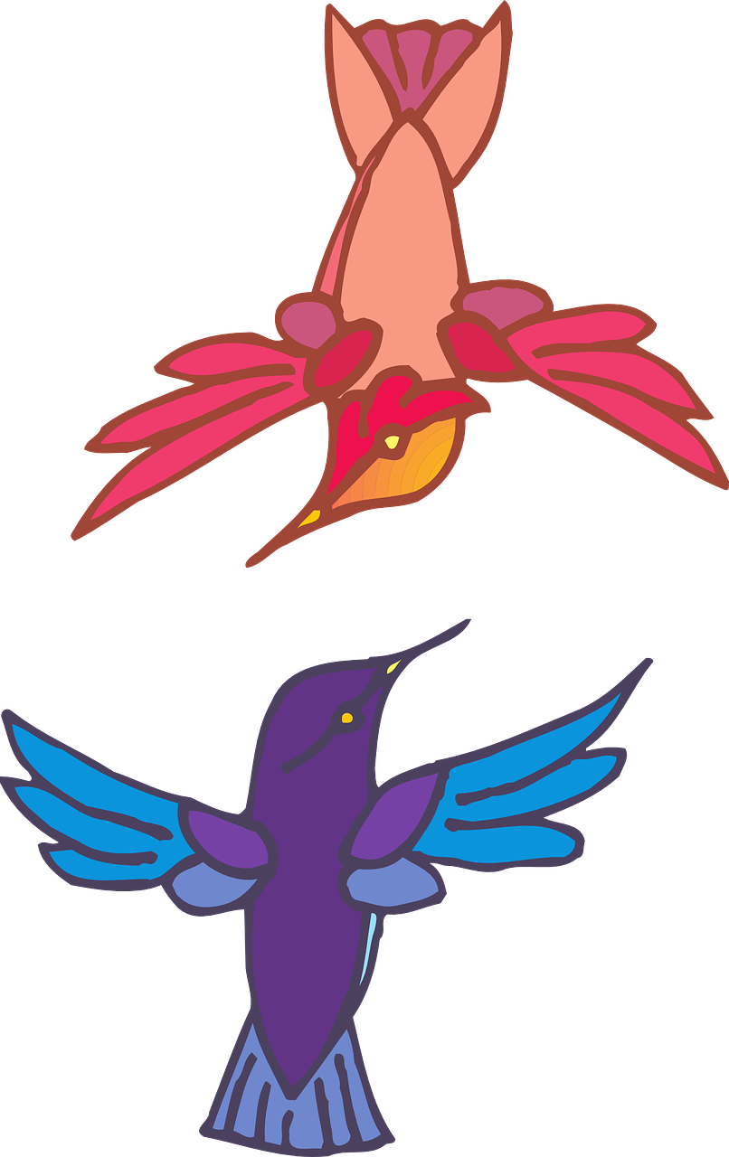 Two Birds Flying Colors Wings Png Image - Flying Two Birds Transparent ...