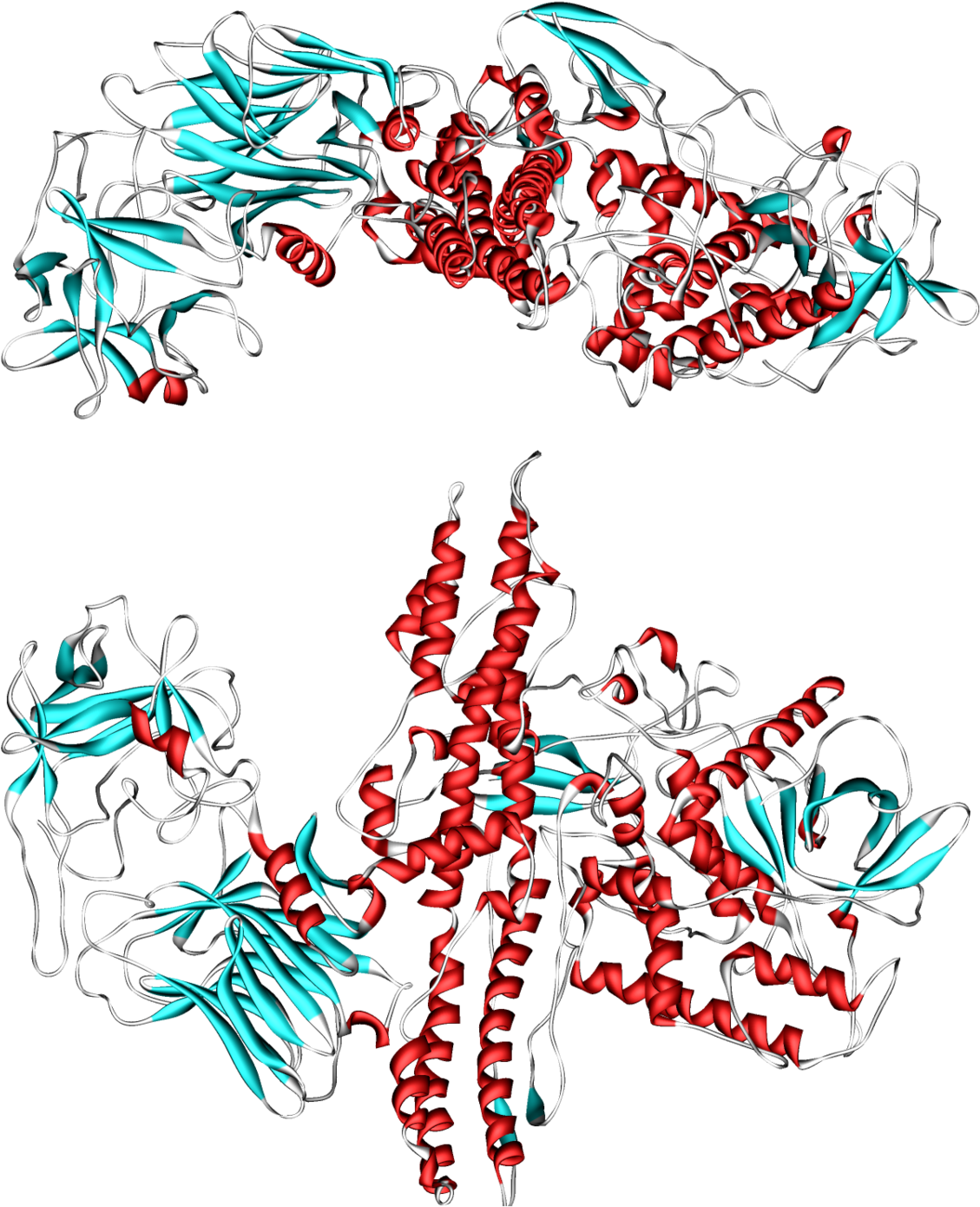Botulinum Toxin Clipart - Full Size Clipart (#1460024) - PinClipart