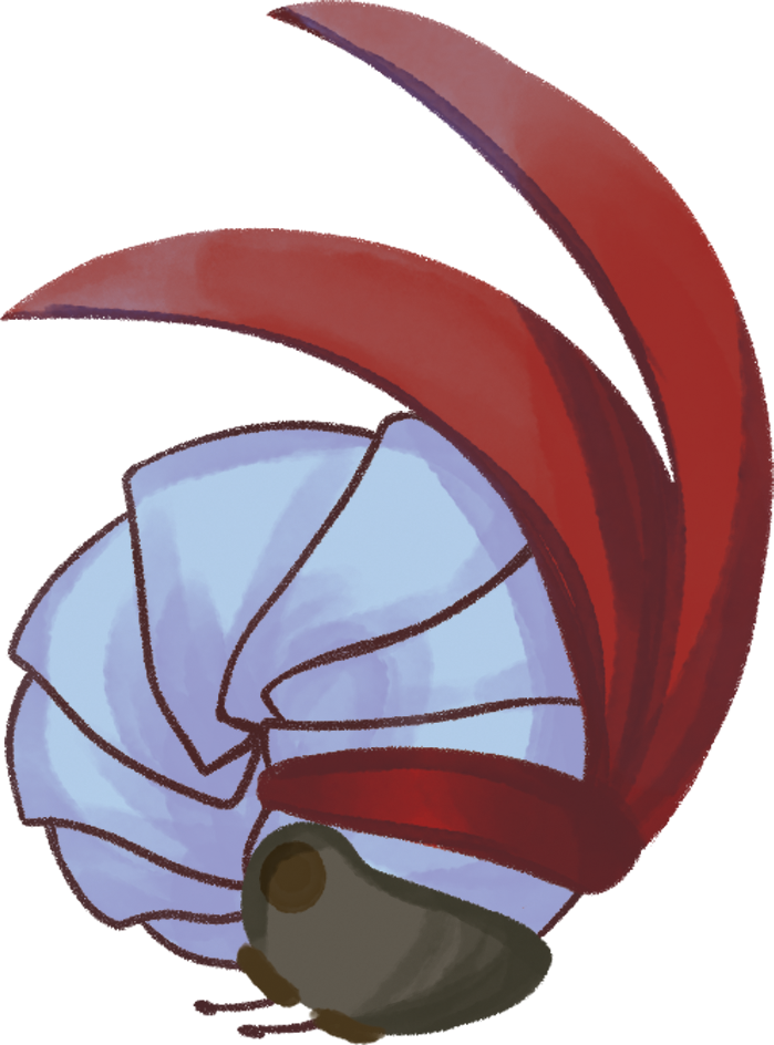 A Racing Roly Poly - Cartoon Clipart - Full Size Clipart (#1474651 ...