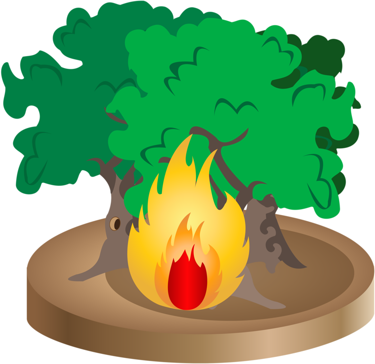 Firefighter Cartoon Conflagration Deep Fires - Incêndio Floresta ...