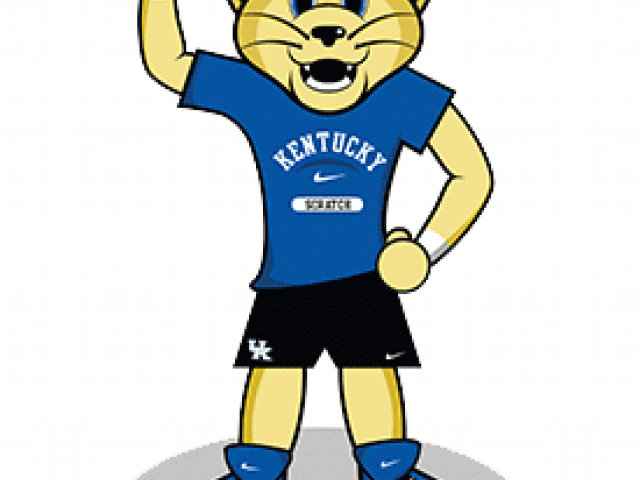 Wildcat Clipart Scratch - Cartoon - Png Download - Full Size Clipart ...