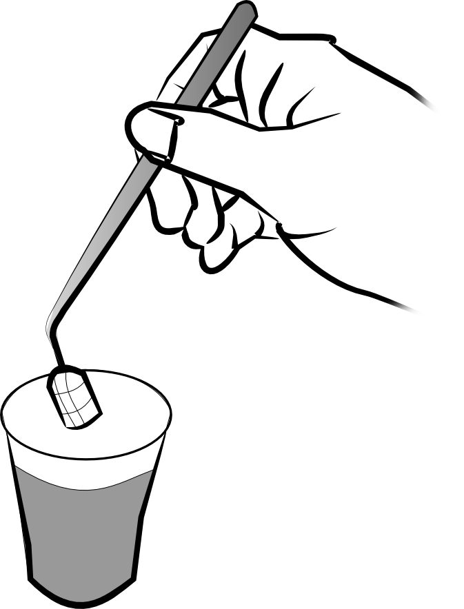 Using Forceps Or Tweezers, Dip The Canopy In The Finish, - Future ...